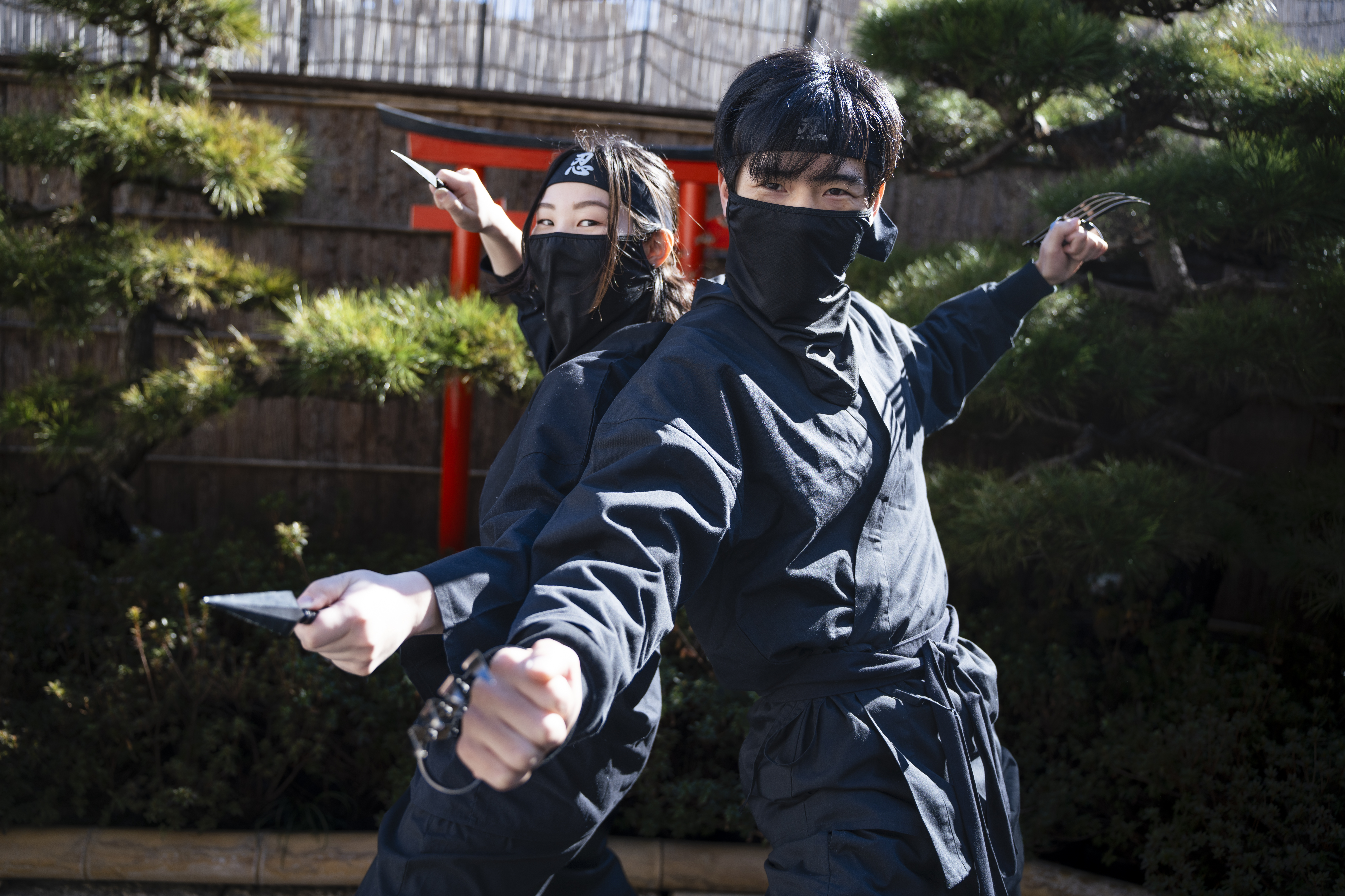 Private Ninja Training in Kyoto for VIP (copy 6627 2026-06-21) - Tea ...